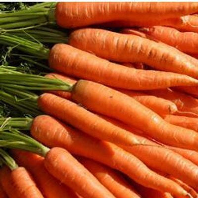 Amanda Hamilton | Golden carrot juice